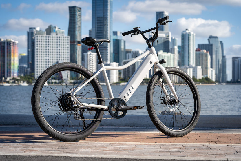 FLUX E-Assist – Pure Cycles